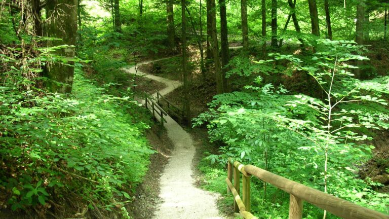 Rundkurse | Attersee-Schifffahrt