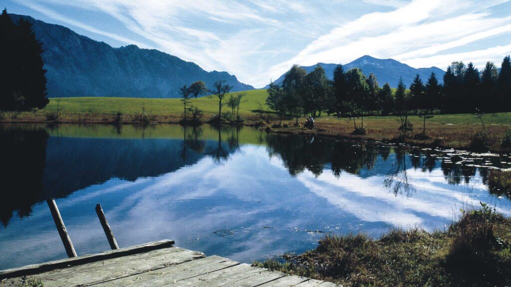 Unterach - Naturschutzgebiet Egelsee - Stockwinkel | Attersee-Schifffahrt