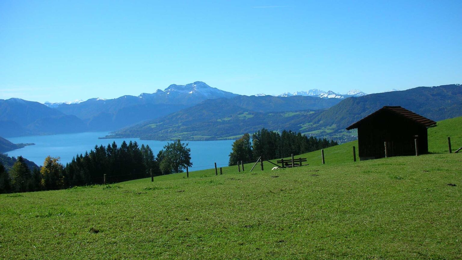 Ganzjahresfahrplan | Attersee-Schifffahrt