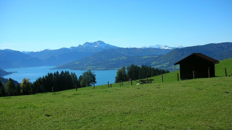 Ganzjahresfahrplan | Attersee-Schifffahrt